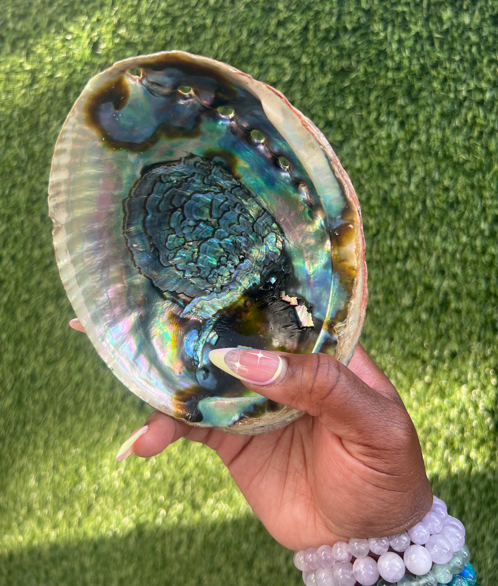 Abalone Shell Catch All – Ancient Alignment LLC